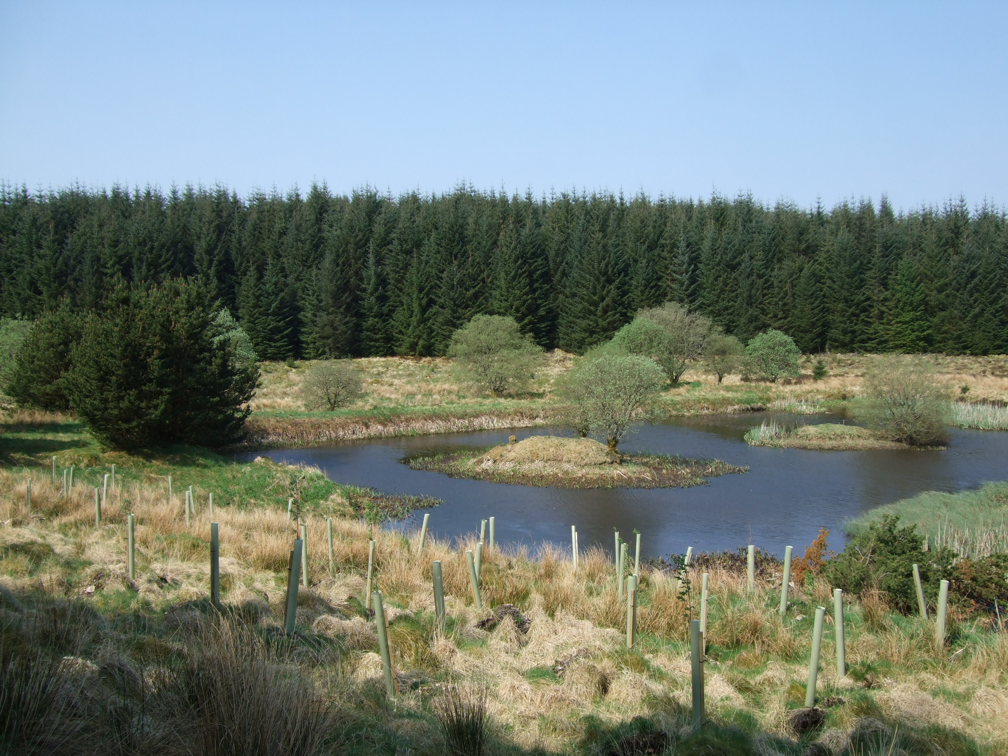 Contact | Scottish Woodlands